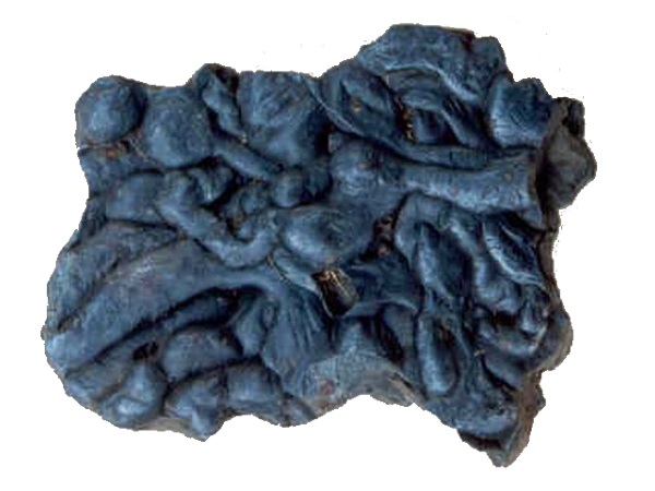 Hoe gevaarlijk zijn staalslakken eigenlijk?